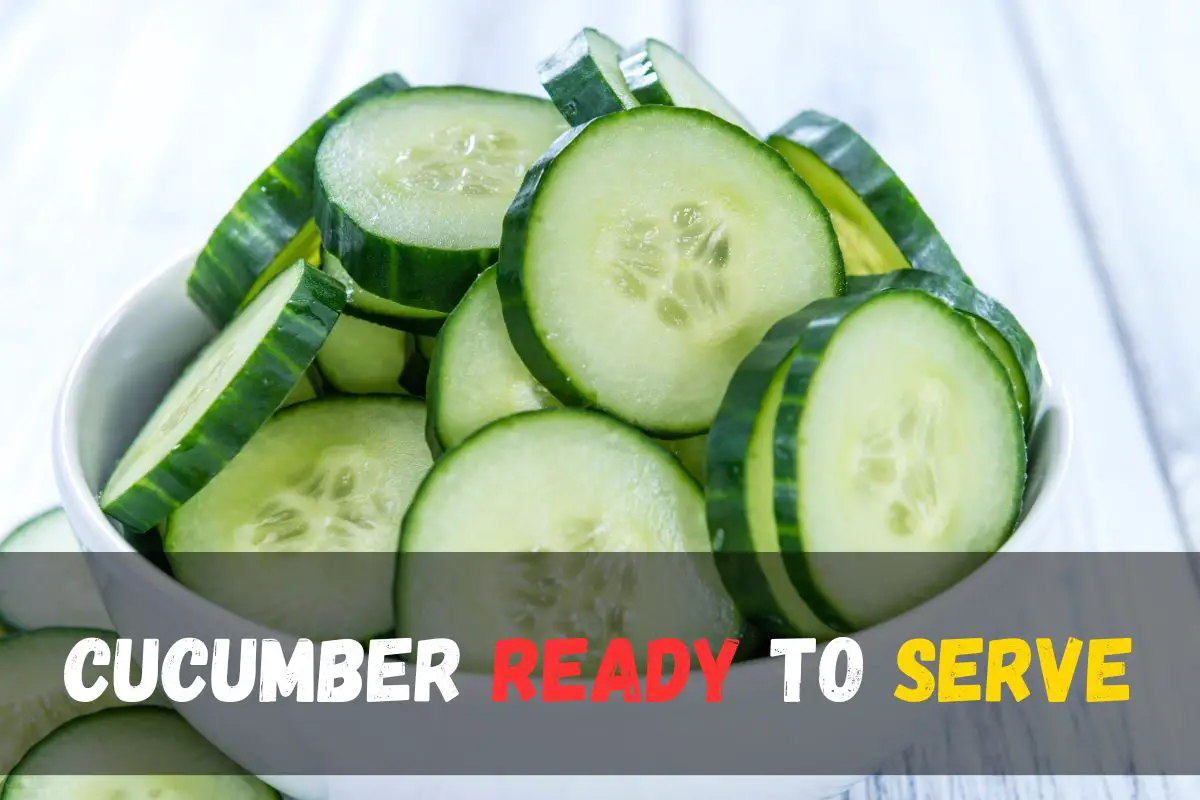 Can Budgies Eat Cucumber Unveiling Health Benefits And Risks